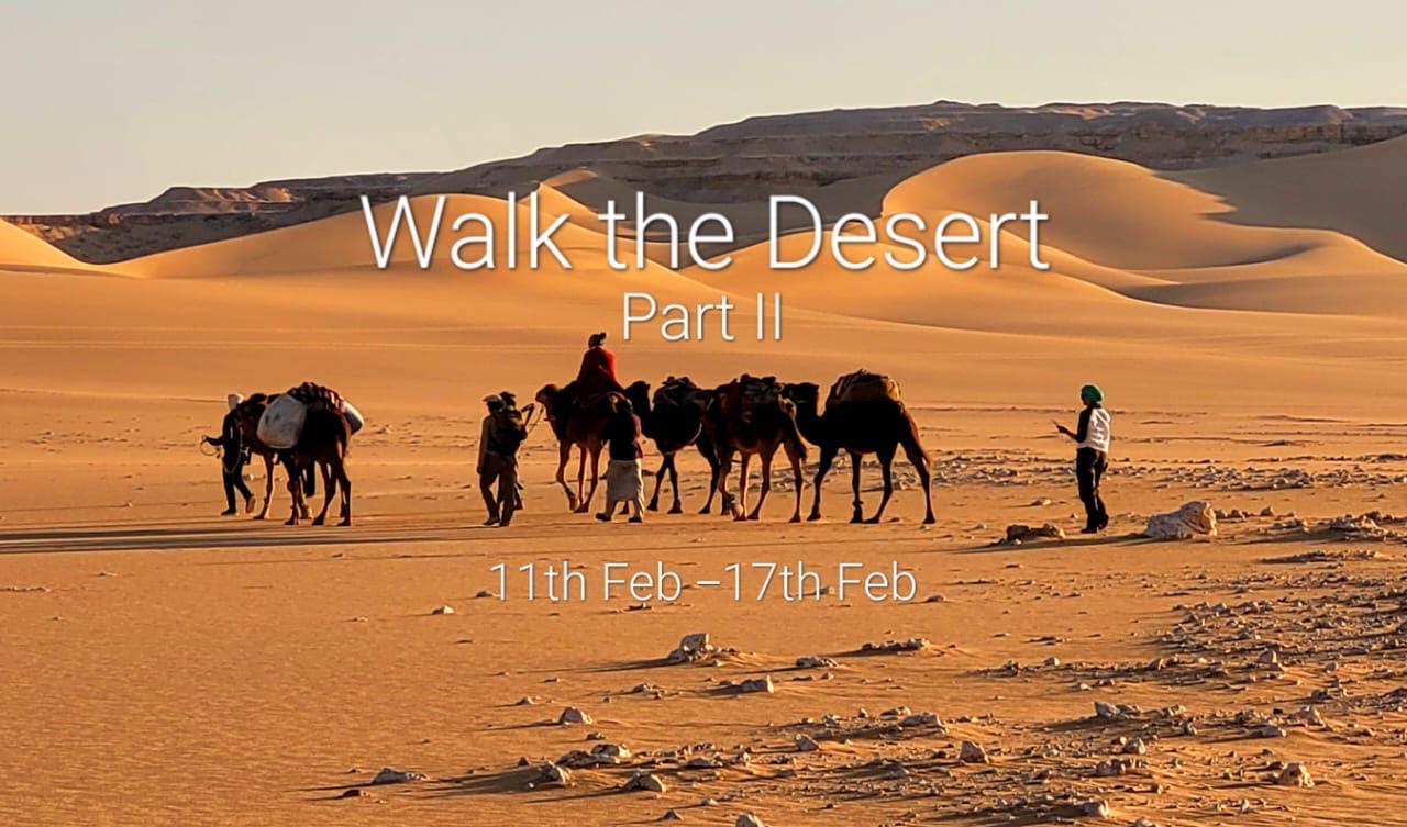 Walk The Desert Part 2 - Camel Safari - Abdu's Desert Adventures